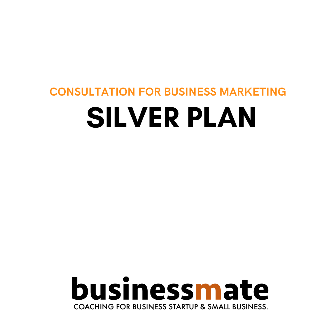 Silver Plan – BusinessMate SG